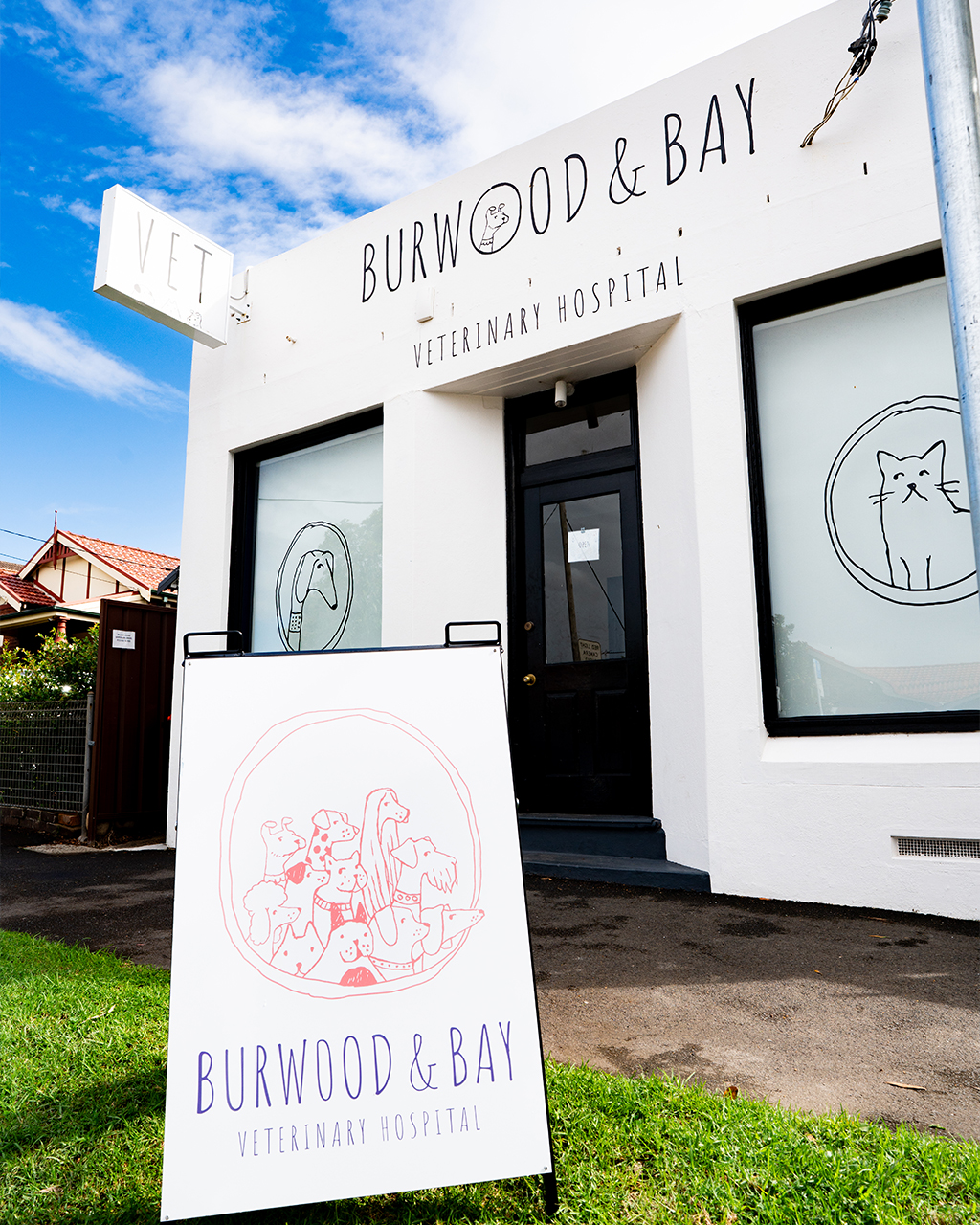 About Us | Burwood & Bay Veterinary Hospital | Quality Pet Care & Vet ...